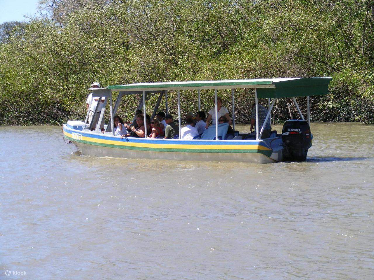 Palo Verde National Park Jungle River Cruise Join In Day Tour - Klook