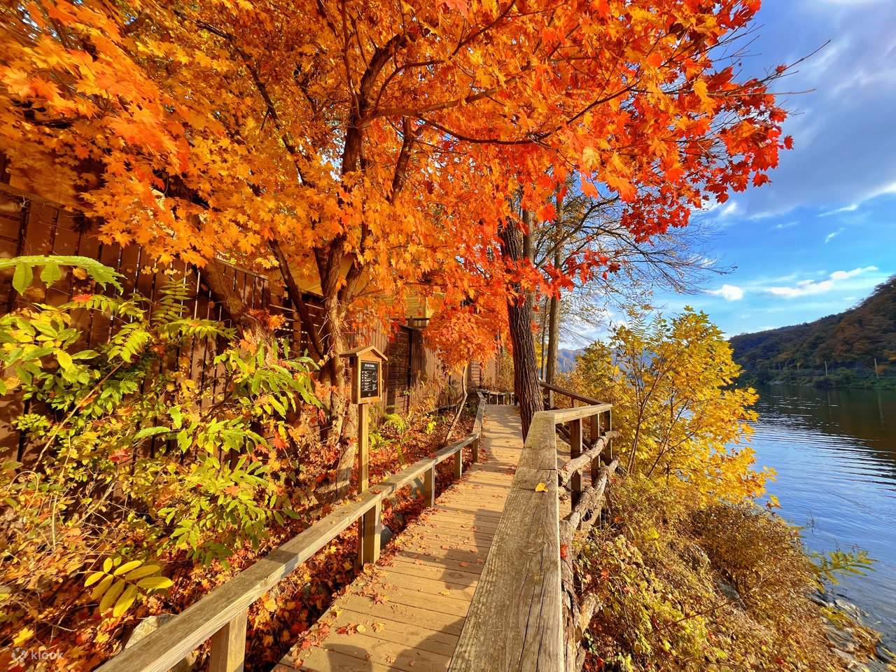 [Day tour from Seoul] Nami Island, Water Garden, Namhansanseong - Klook