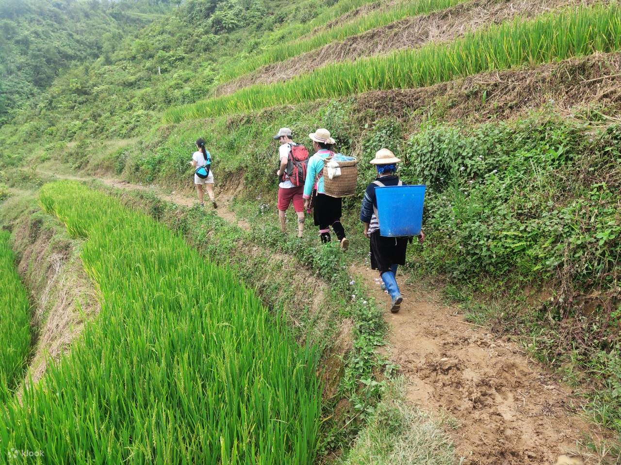 Y Linh Ho - Lao Chai - Ta Van Villa Trekking Day Tour - Klook India