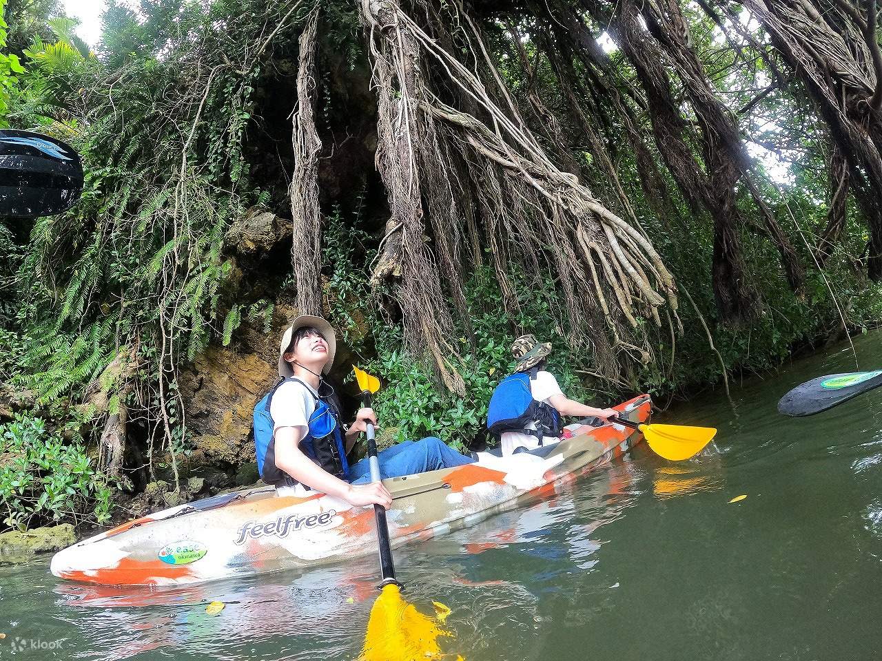 Lawatan Berkayak di Hutan Paya Bakau - Klook Amerika Syarikat