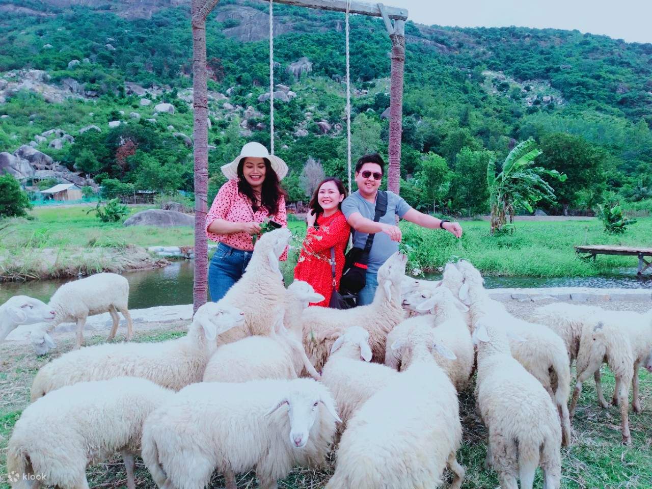 Sheep Farm, Vinh Hy, Rai Cave, and Vineyard Day Tour from Nha Trang - Klook