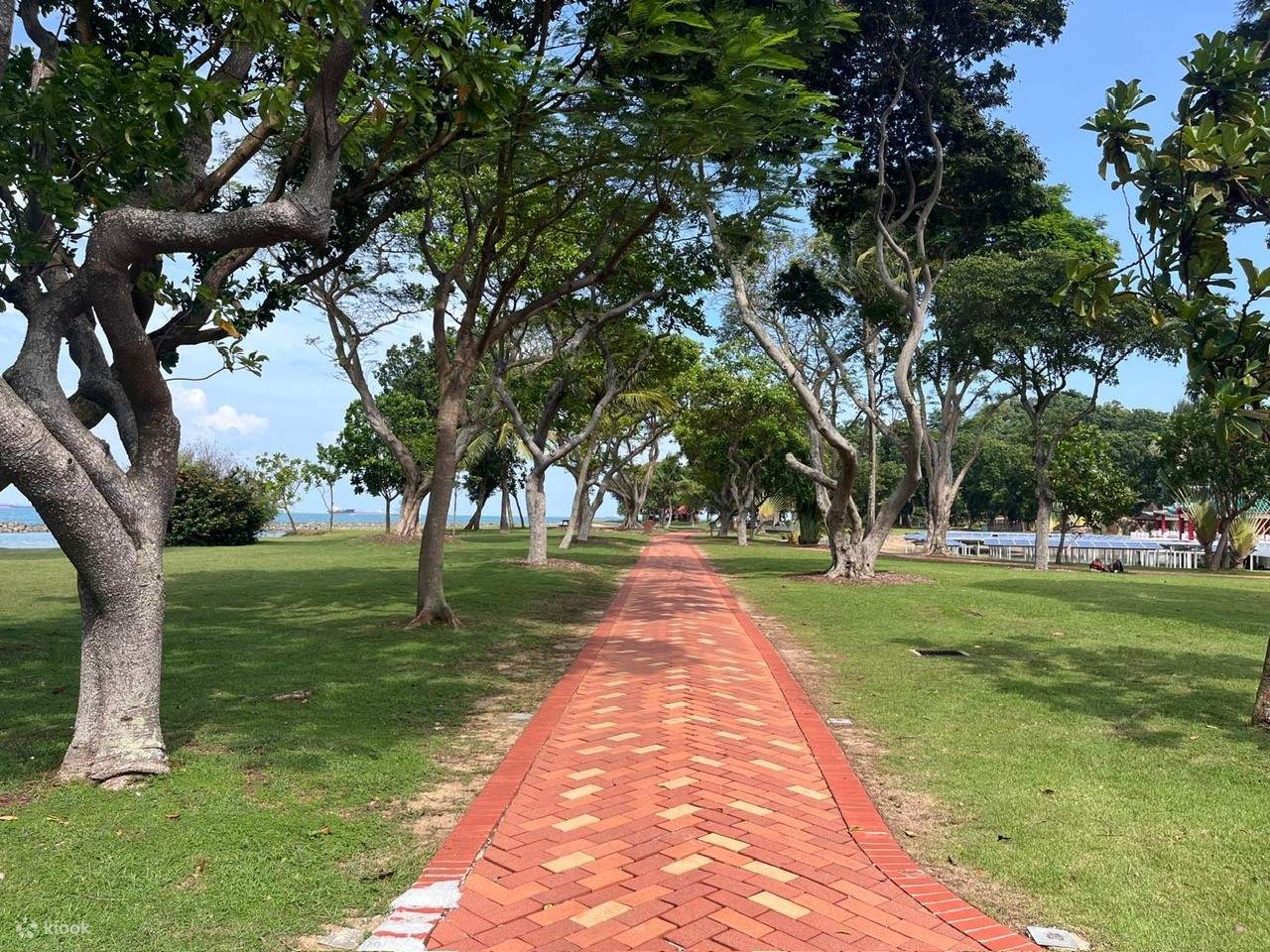 Guided Exploration of Kusu Island - Klook