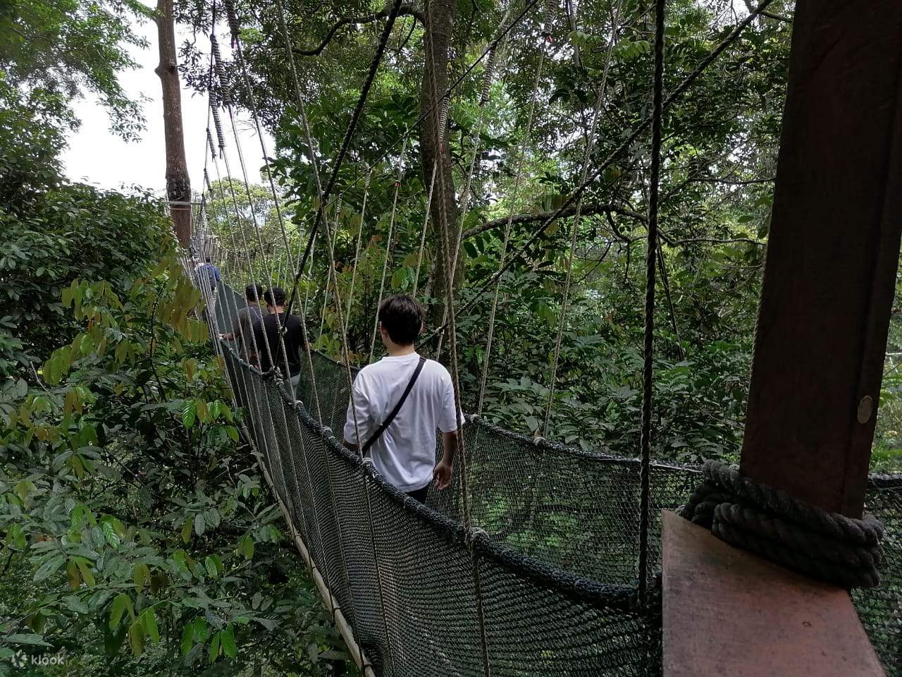 Kota Kinabalu : Private Kundasang and Poring Hot Spring Tour - Klook ...