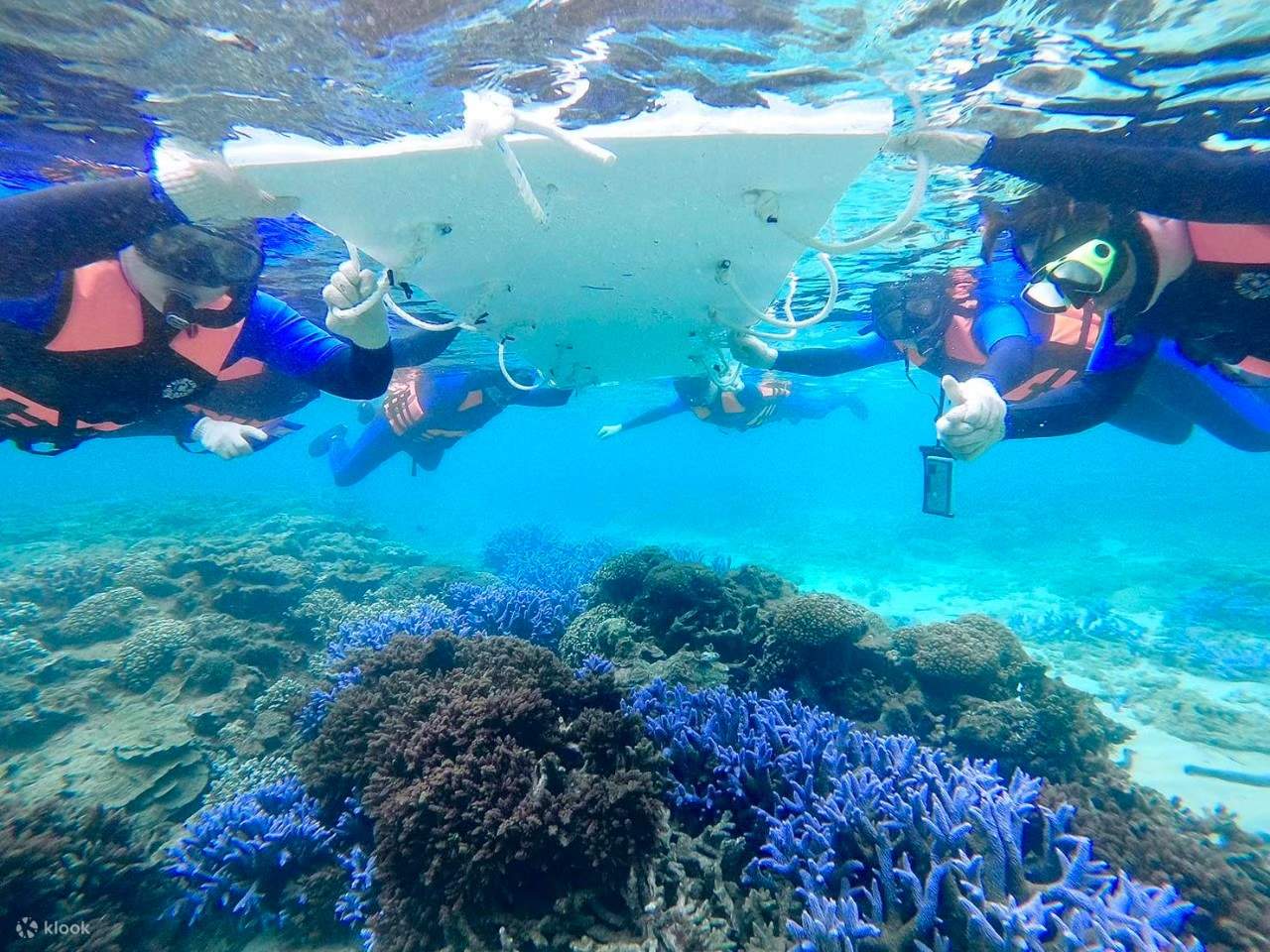 Penghu Blue Cave: Island Hopping Day Tour in Southern Four Islands National Park & Lavender ...