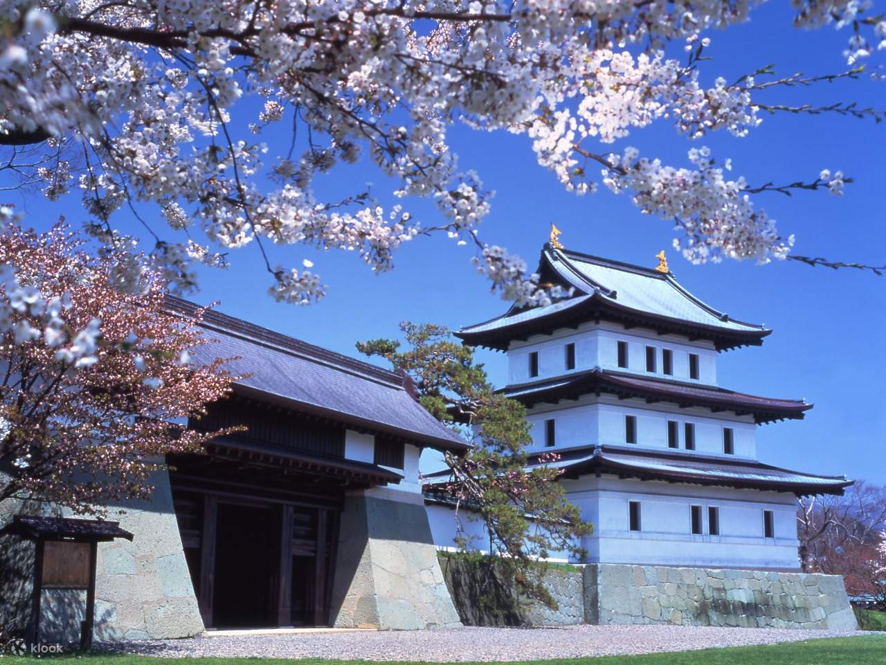 Hokkaido Hakodate Matsumae Castle + Goryokaku + Seagull Island Cherry ...