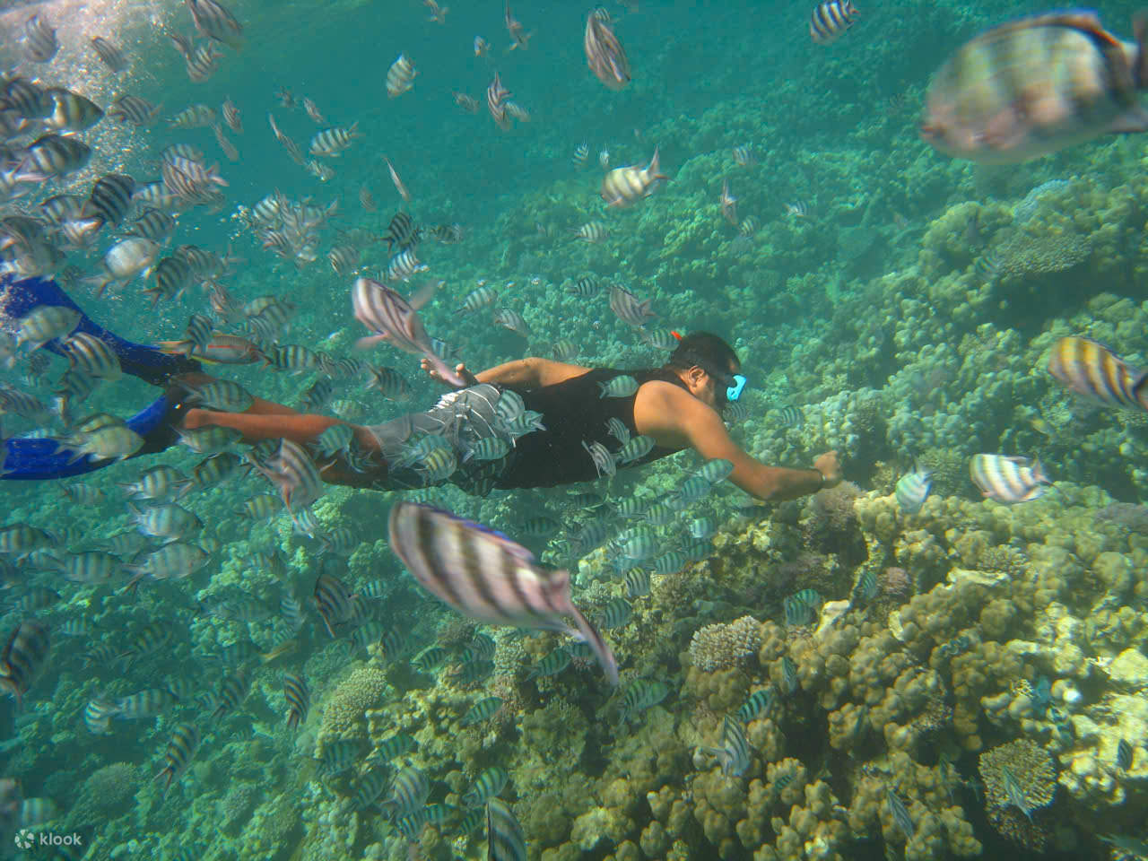 Nha Trang Floating Bar Party, Mini Beach and Mun Island Hopping Tour ...