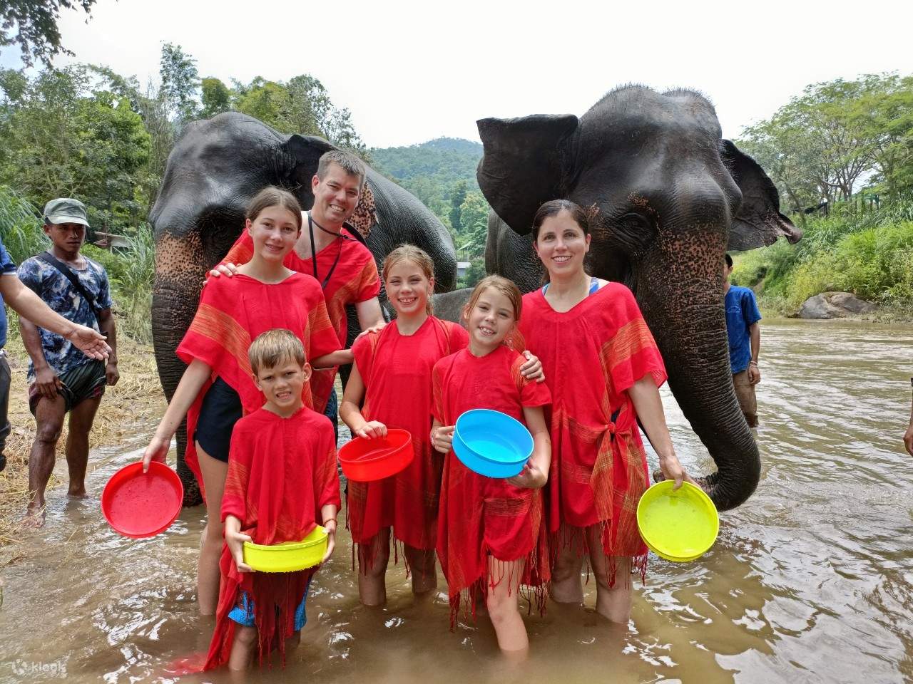 Elephant Jungle Journeys: Chiangmai's Best Budget Deals Await! - Klook