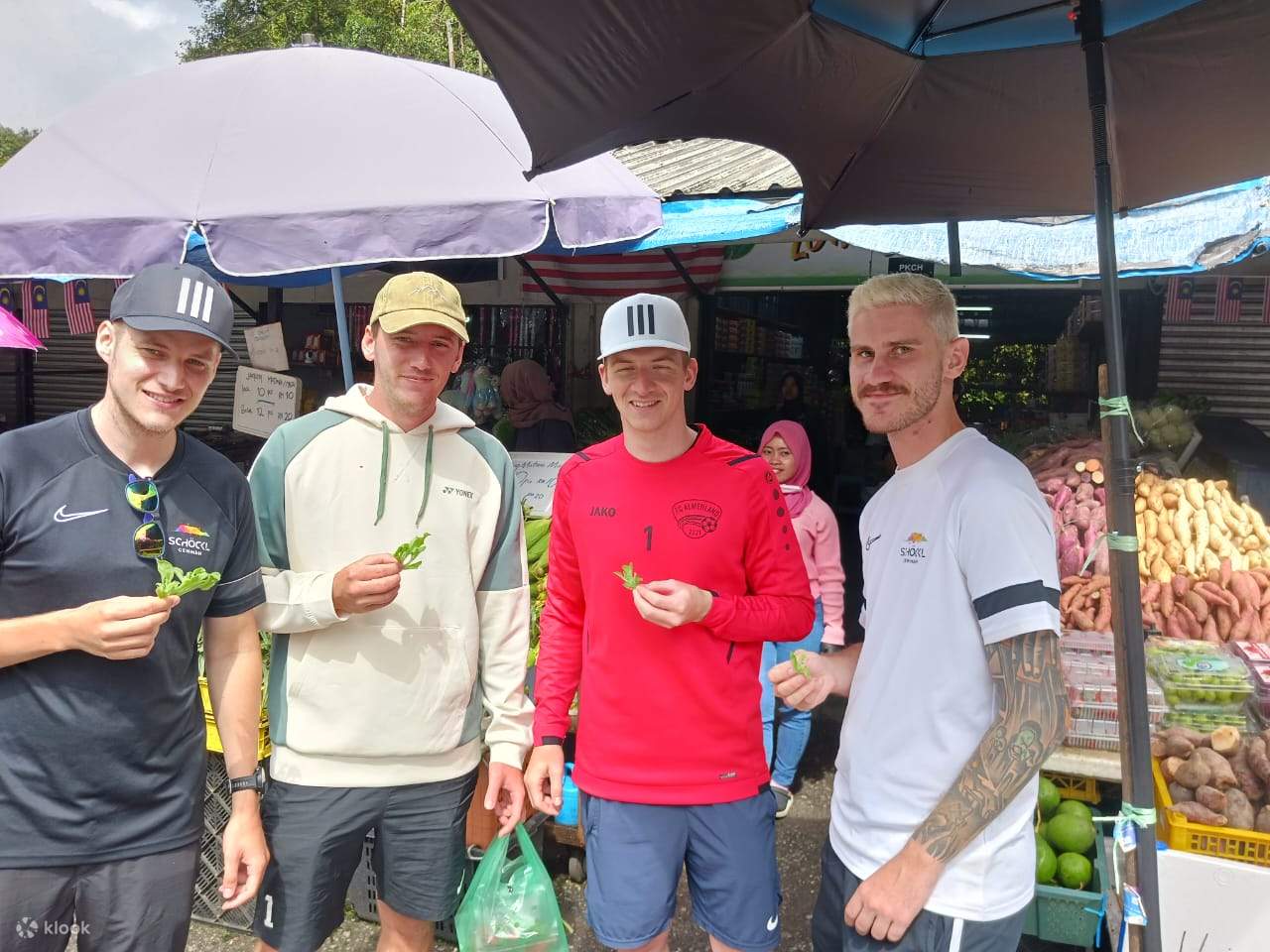 Cameron Highland Private Day Tour From Ipoh - Klook Singapore