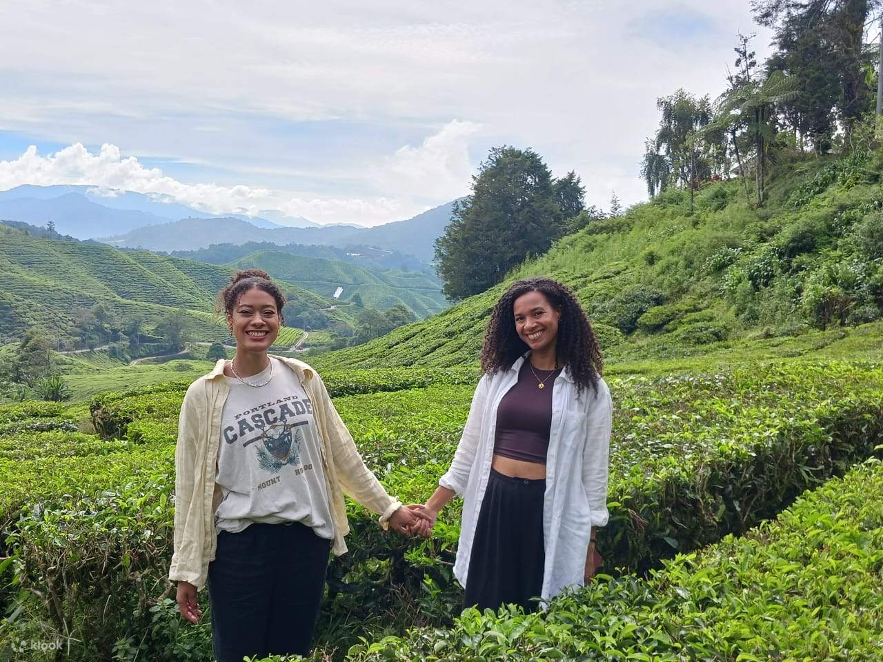 Cameron Highland Private Day Tour From Ipoh - Klook Singapore