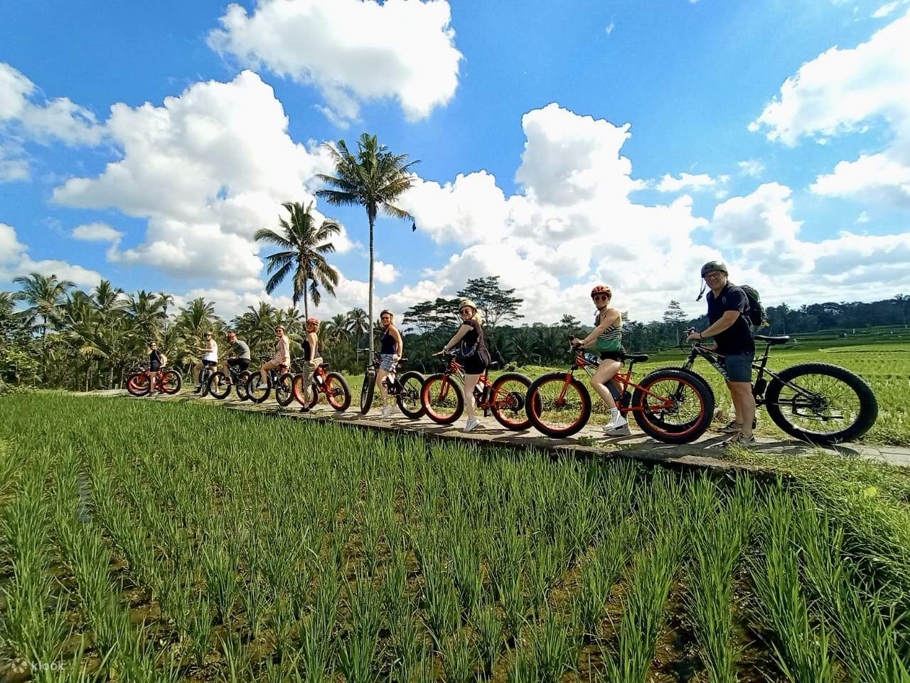 Fat Tire E-Bike Tour di Ubud - Klook Indonesia