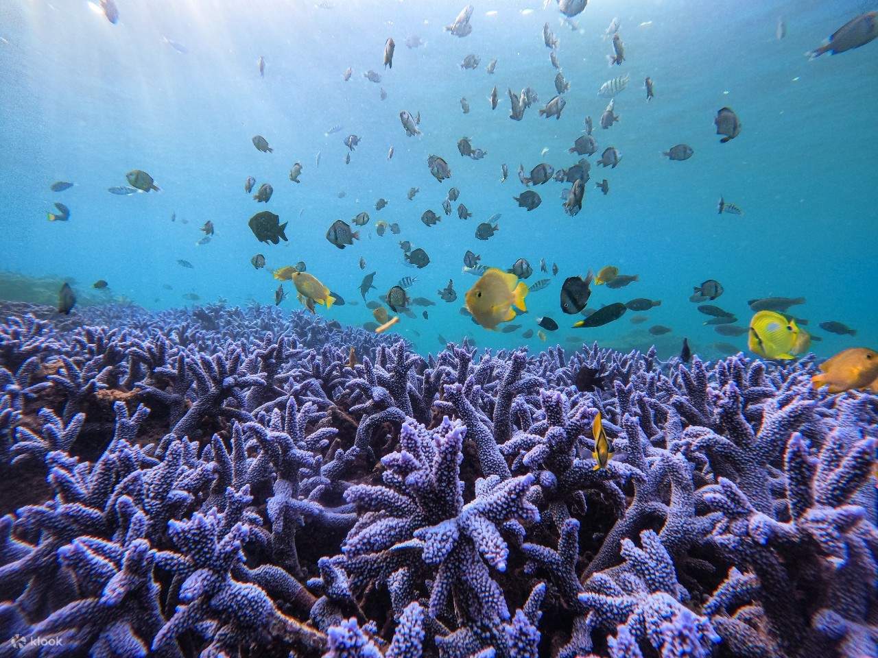Penghu Blue Cave: South Penghu Marine National Park Island Hopping One ...