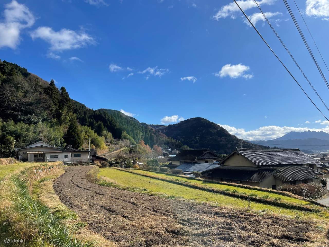 Ichinomiya-machi Teno & Kunizukuri Shrine Day Trip (Aso) - Klook Singapore