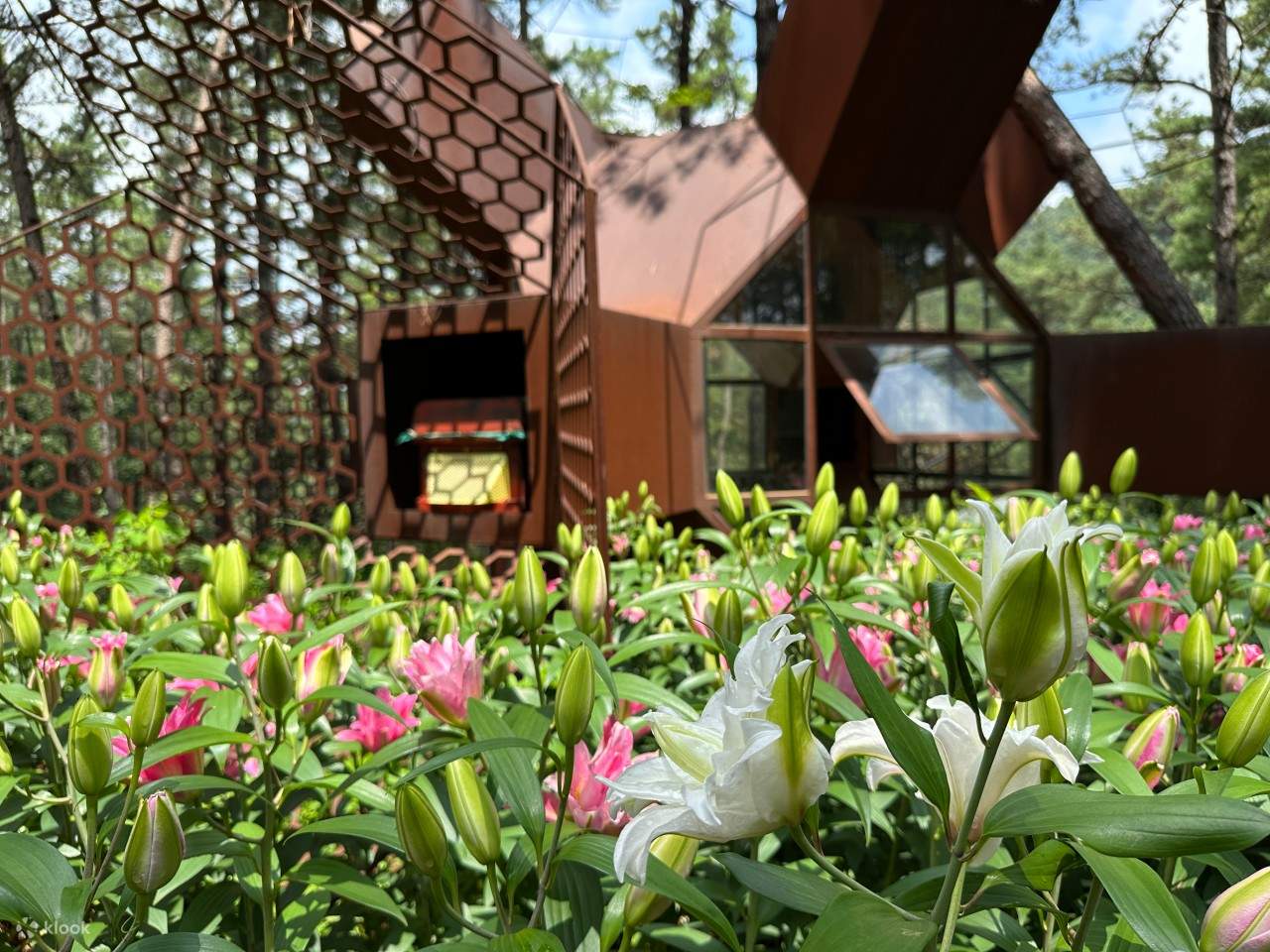 Gongju Light Aircraft & Gongju Day Tour - Klook