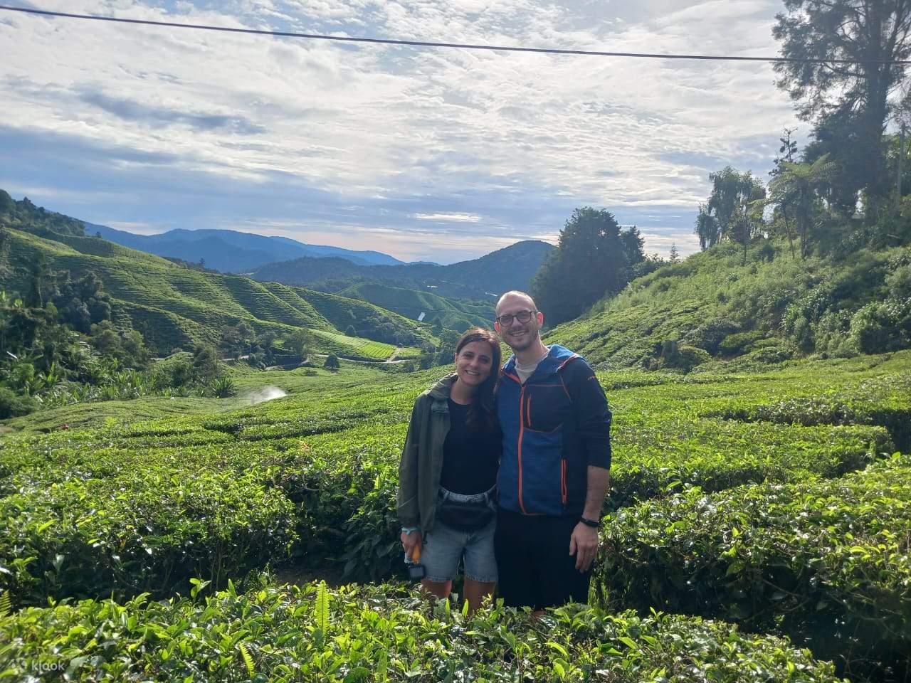 Cameron Highland Private Day Tour From Ipoh - Klook Singapore