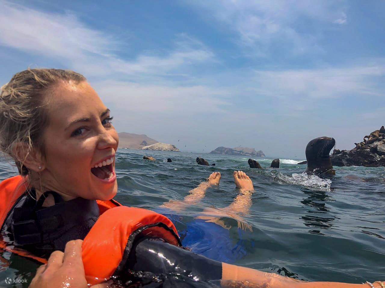 Experience Palomino Islands Swimming with Sea Lions from Lima - Klook ...