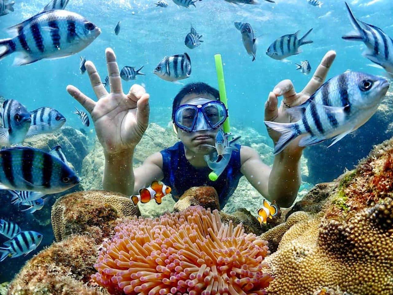 From Pattaya: Private Speedboat Nemo Island with Hotel Transfers ...