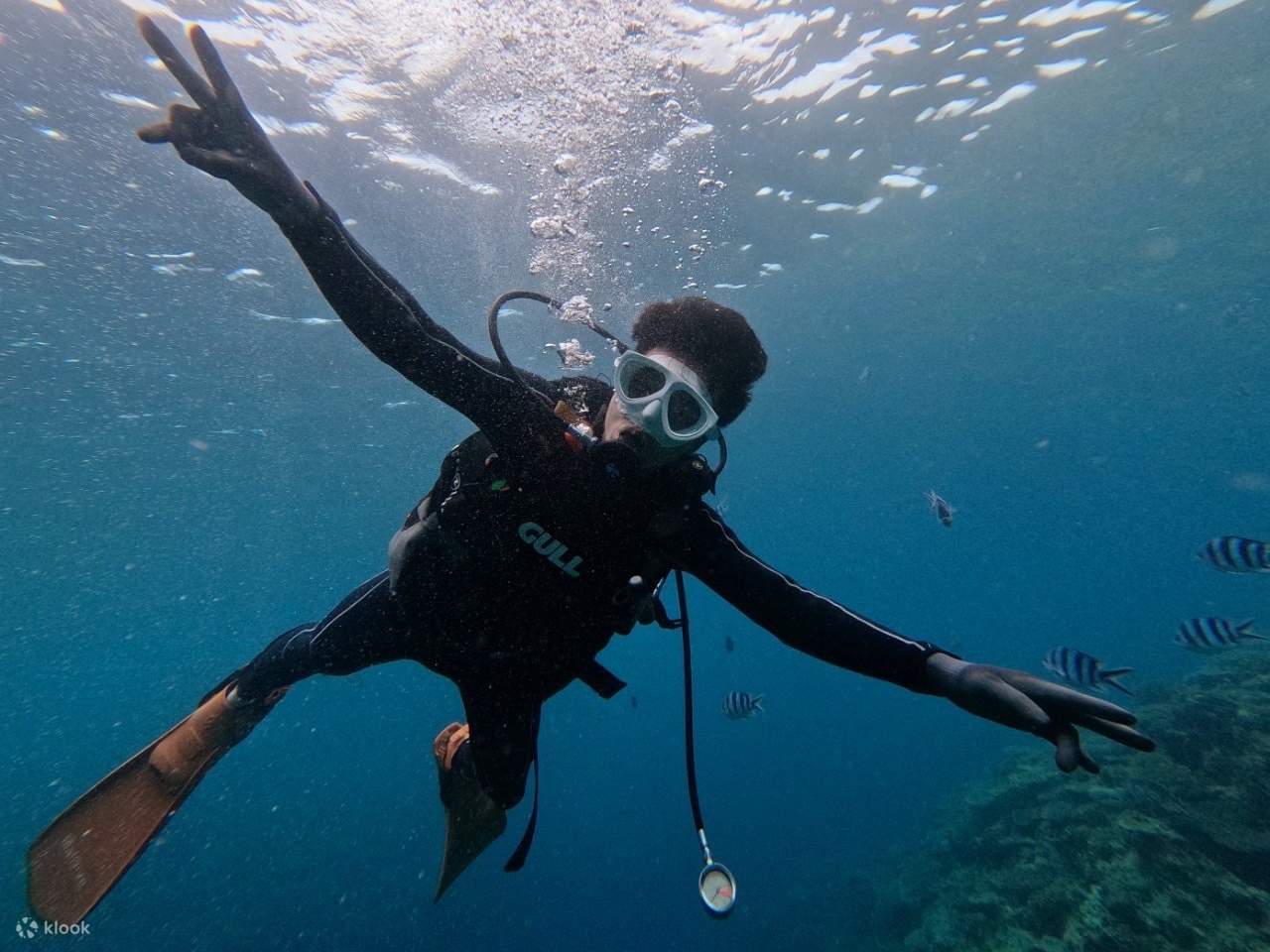 Okinawa: Blue Cave Experience Diving - Including GoPro shooting and ...