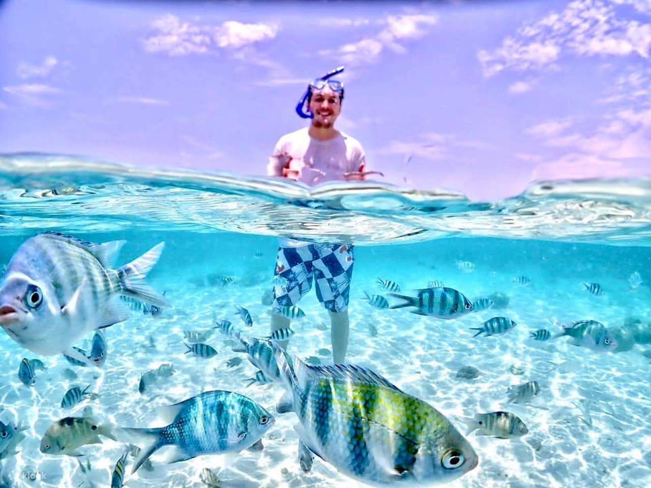 From Pattaya: Private Speedboat Nemo Island with Hotel Transfers ...