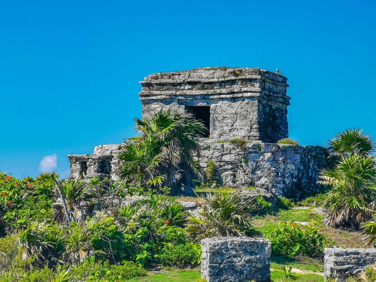 Private Tour from Cancun: Explore Tulum Ruins & Jungle Cenote - Klook ...