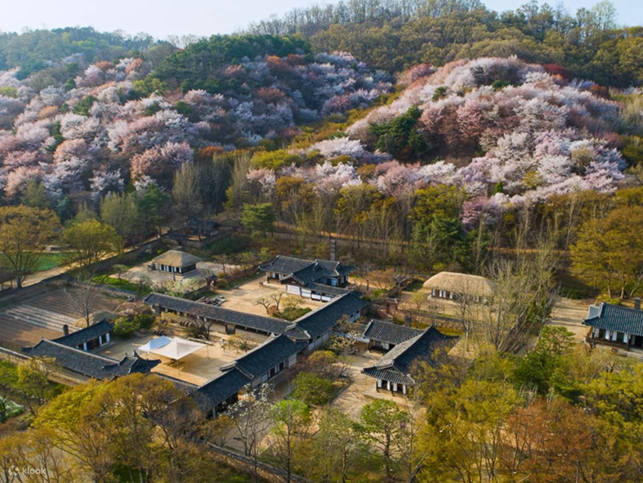 Tur Satu Hari Hwadamsup & Luge & Desa Rakyat Korea dari Seoul - Klook ...