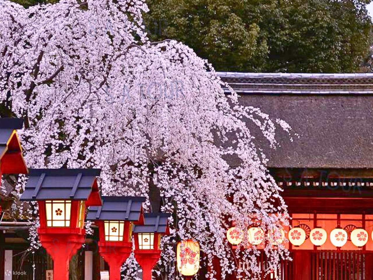 Arashiyama Bamboo Grove, Kinkaku-ji TempleSenbon Torii, Nara Park+ ...
