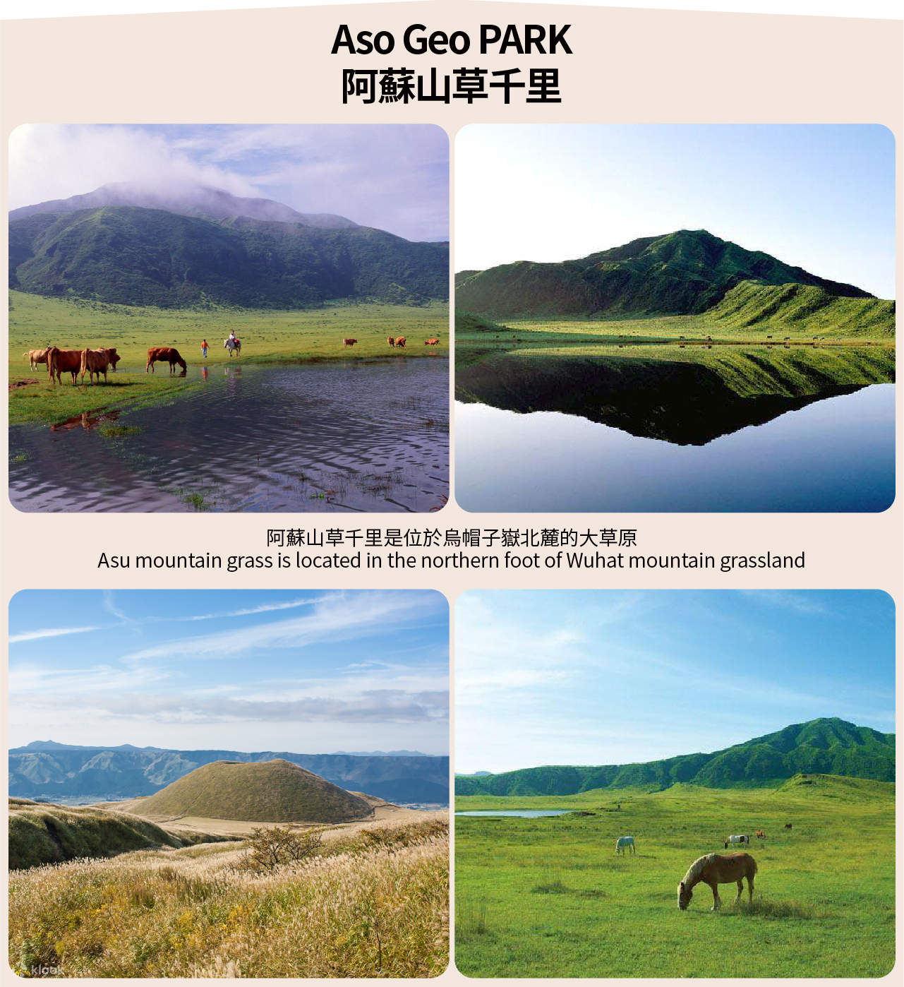 Kumamoto Castle & Mount Aso & Kusasenri & Aso Boy Sightseeing Train Day Tour (Departing from ...