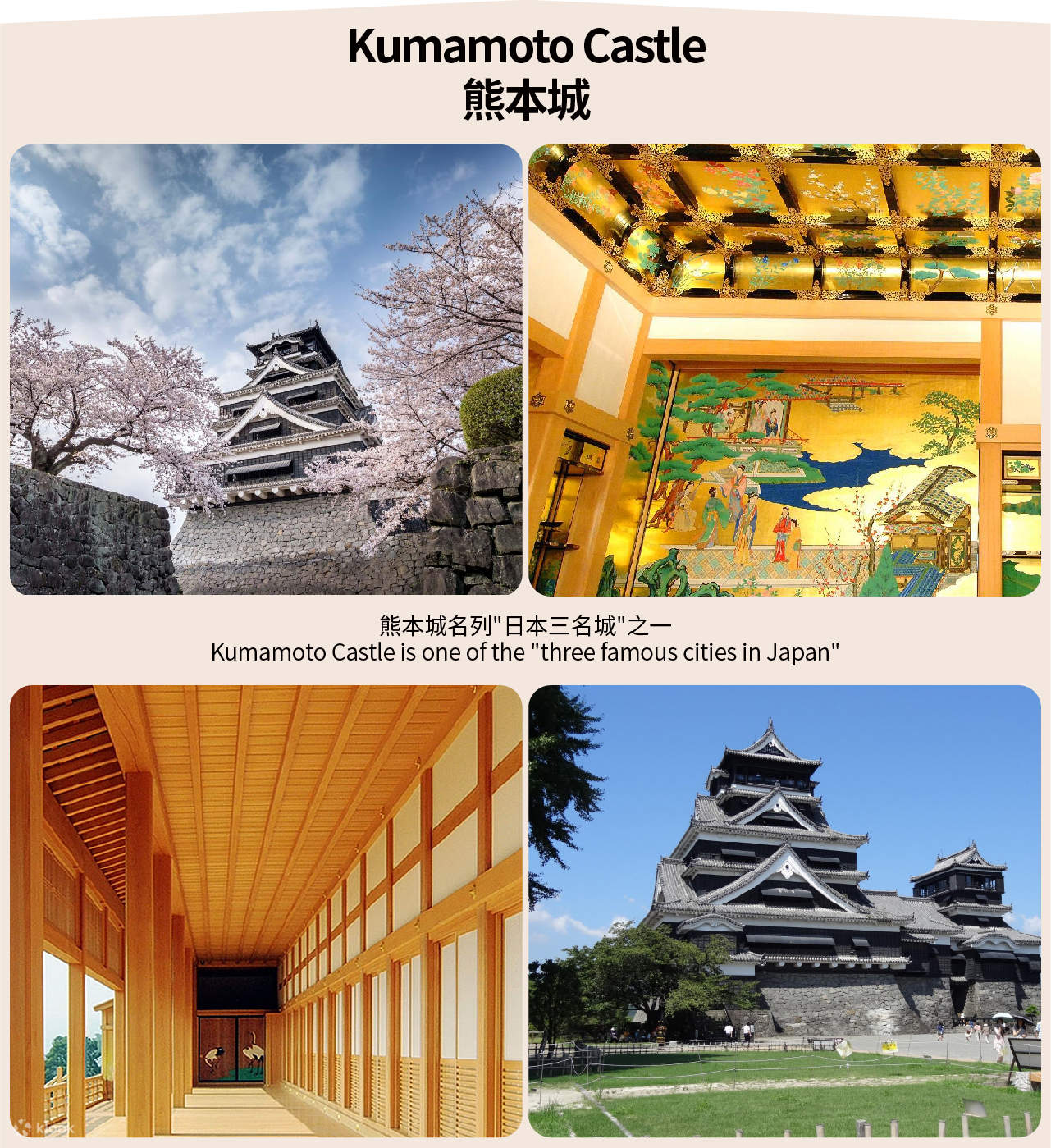 Kumamoto Castle, Aso Volcano, Kusasenri, and Aso Boys Scenic Train Day ...