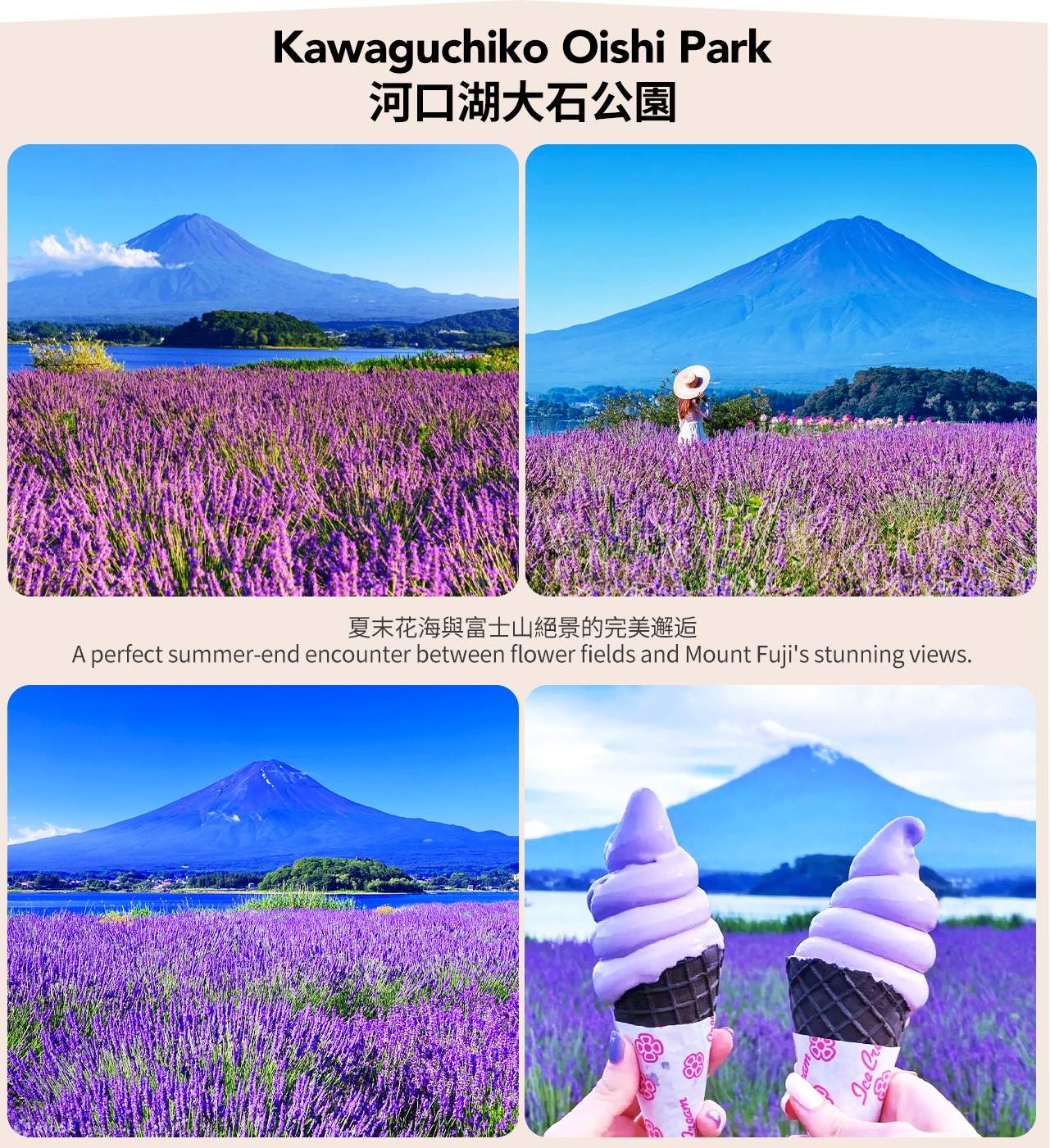 Atami Fireworks Festival, Kawaguchiko Oishi Park, Hakone Shrine, Mt ...