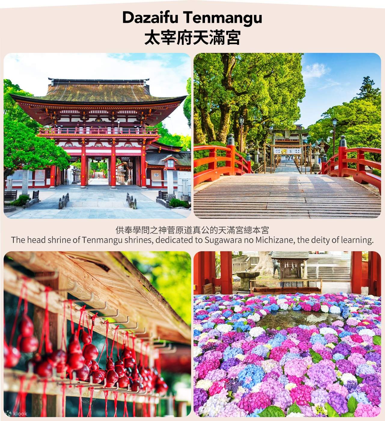 Kyushu & Oita: Dazaifu Tenmangu Shrine, Frog Shrine & Kinrin Lake Day ...