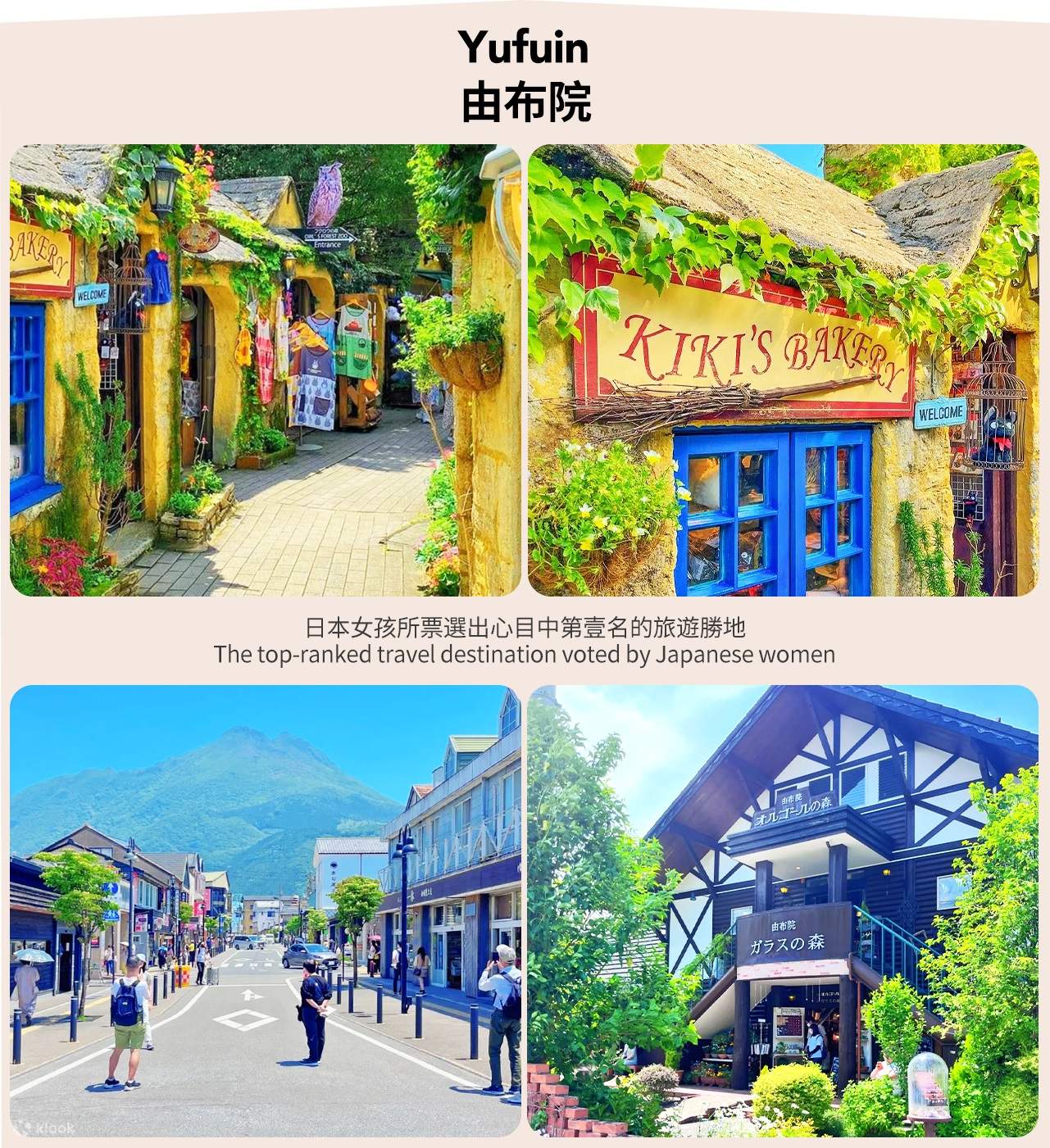 Kyushu Natural Animal Park & Yufuin & Kinrin Lake & Umi Jigoku / Kamado Jigoku Day Trip (From ...