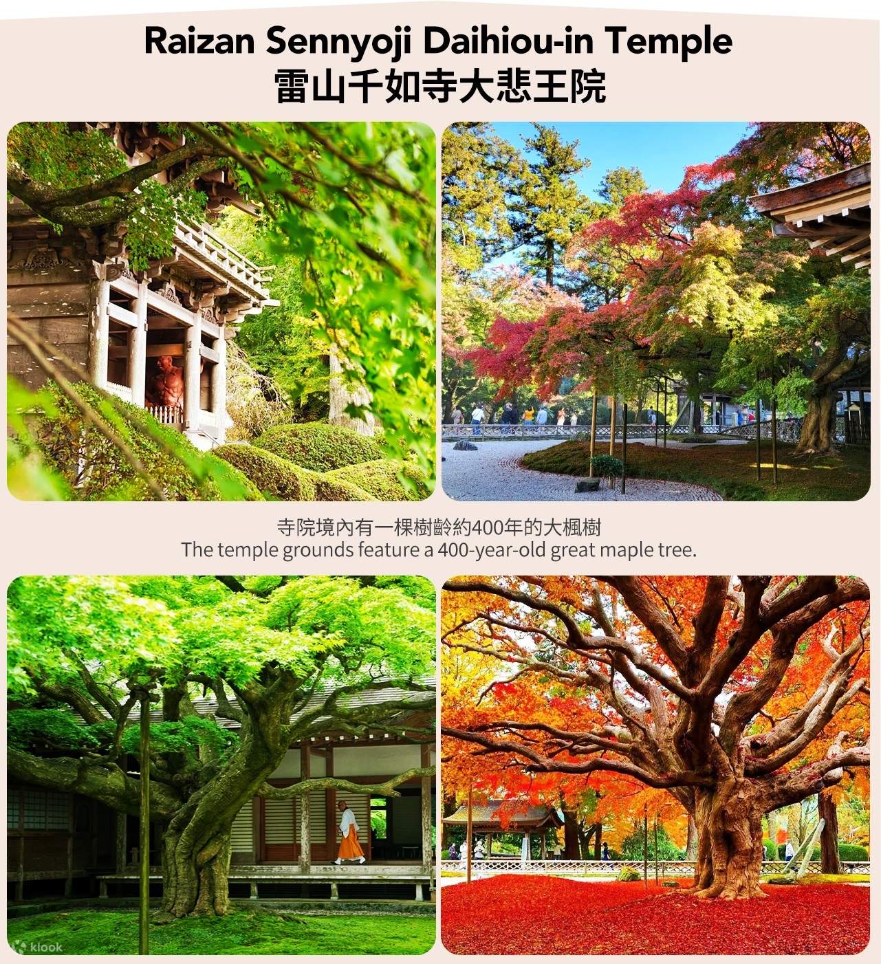 [Kyushu｜Itoshima] Shiraito Falls & Raizan Senjoji Temple & Ichiran ...