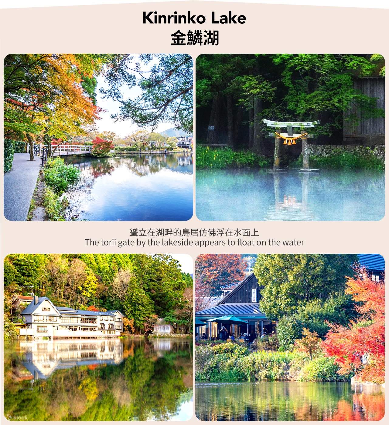 Kyushu & Oita: Tur satu hari Kuil Dazaifu Tenmangu & Kuil Katak & Danau ...