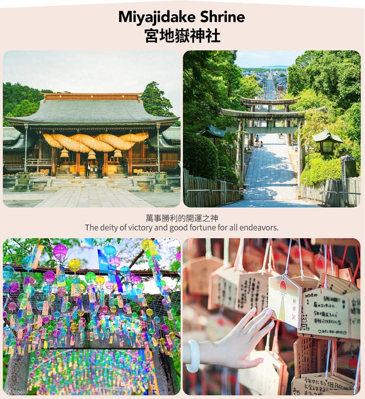 Kitakyushu: Moji Port & Karato Market & Tsunoshima Bridge & Motonosumi ...