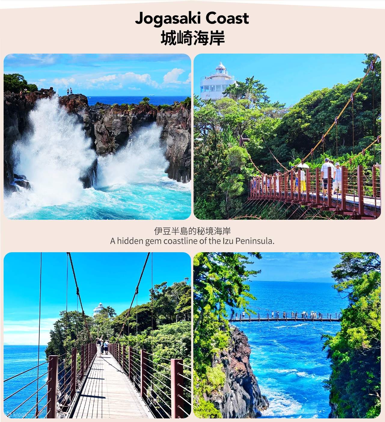 [One-day tour of Izu's stunning scenery] Atami Sunshine Coast Road ...