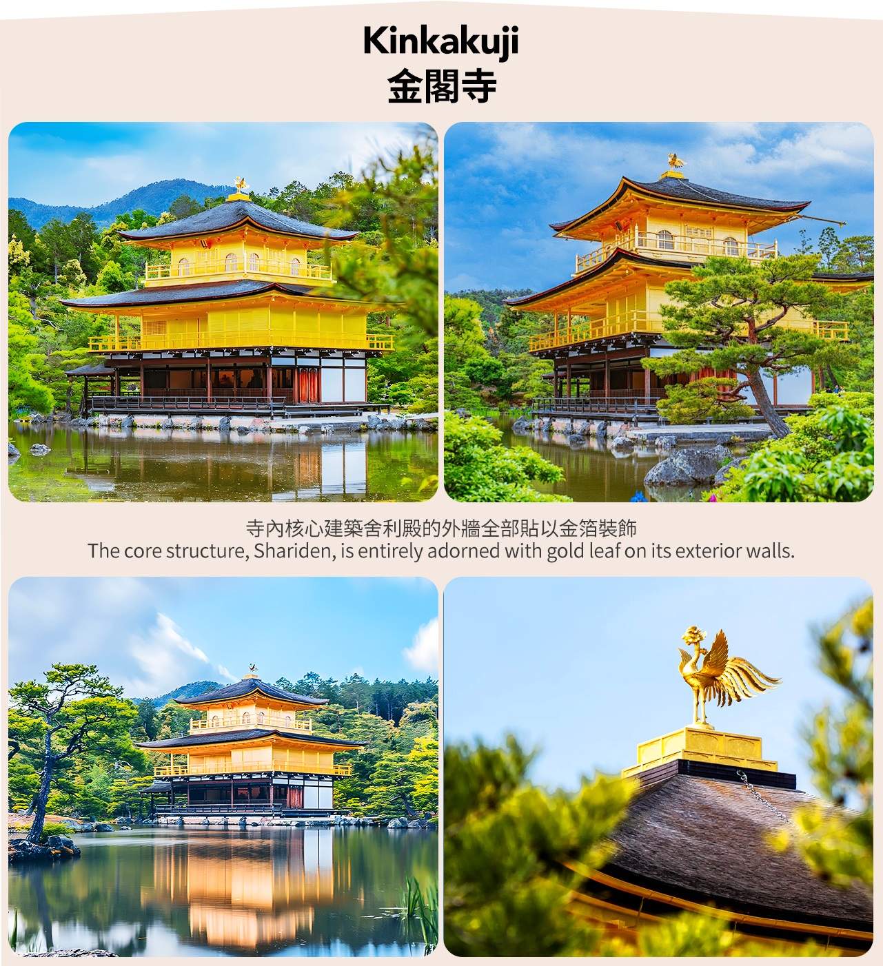 [Explore the Four Great Scenic Spots of Kyoto] Kinkakuji Temple, Nijo ...