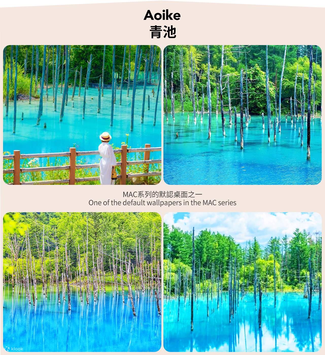 Patchwork Road, Shikisai Hill, Blue Pond, Shirahige Falls, Furano, and ...