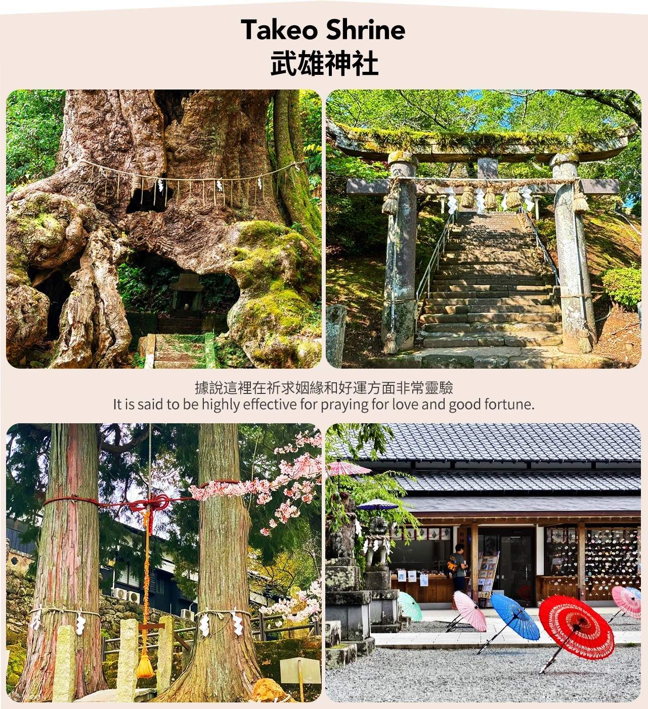 Strawberry Picking, Yanagawa Boating, and Saga Castle Ruins Day Tour ...