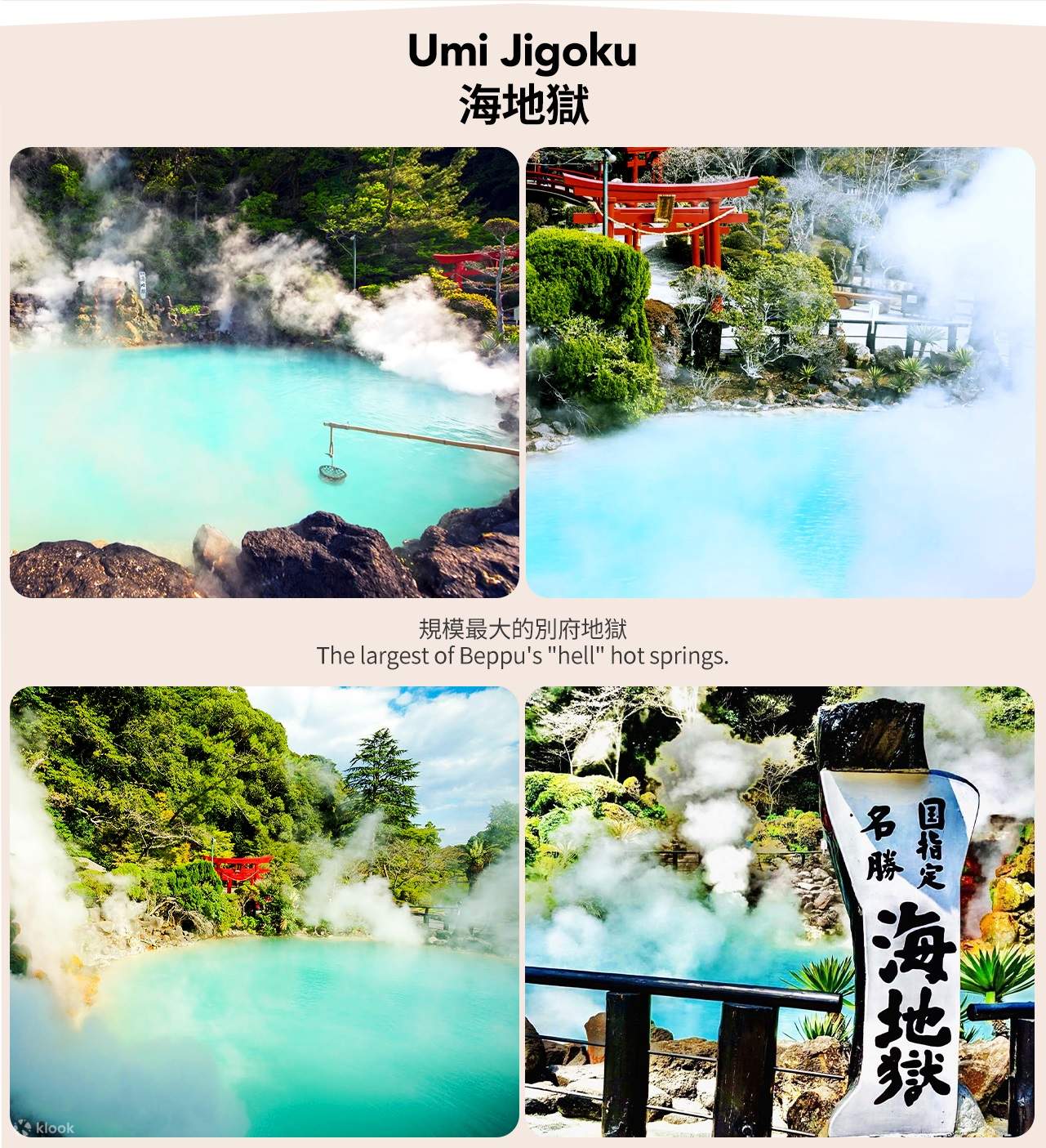 Lawatan sehari ke Kyushu Natural Animal Park & Yufuin & Lake Kinrin ...