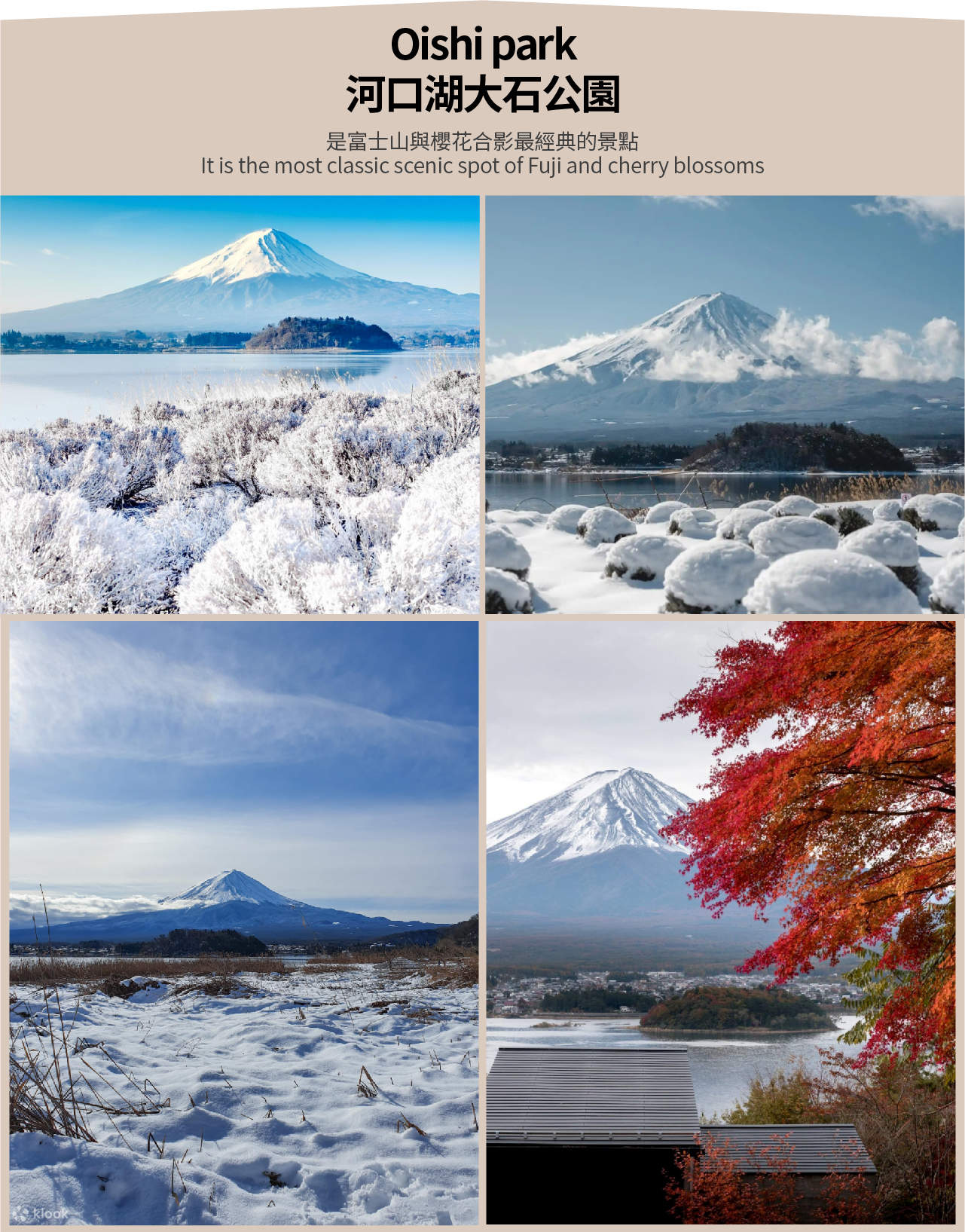[Fuji Mountain Popular Attractions Check-in Day Tour with Lunch Option ...