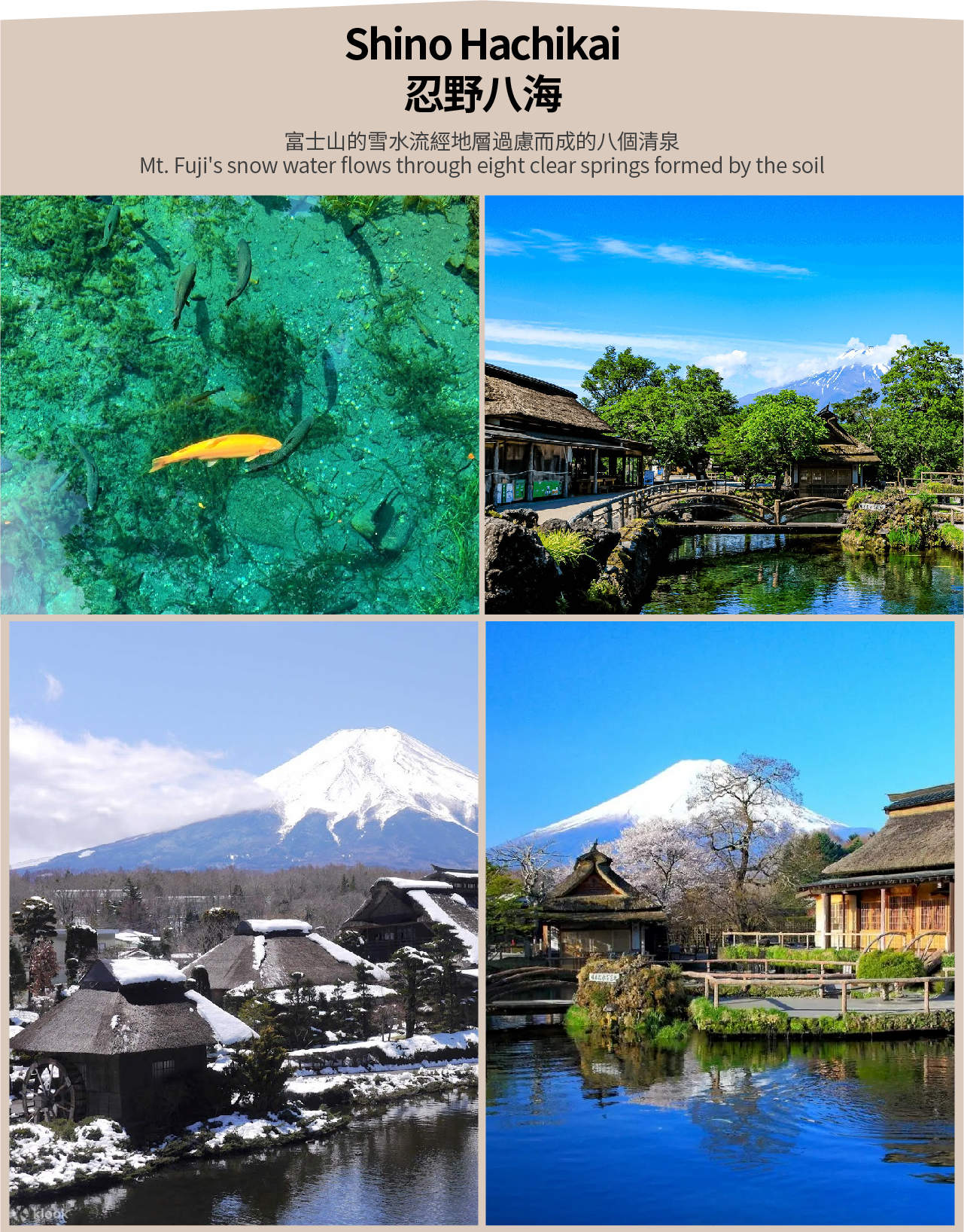 [Fuji Mountain Popular Attractions Check-in Day Tour with Lunch Option ...