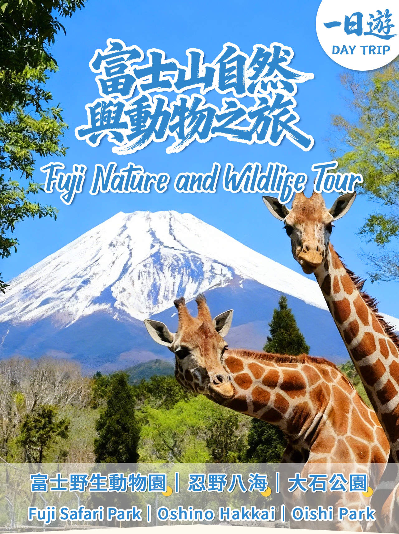 One-day tour of Fuji Safari Park, Oshino Hakkai, and Oishi Park - Klook ...