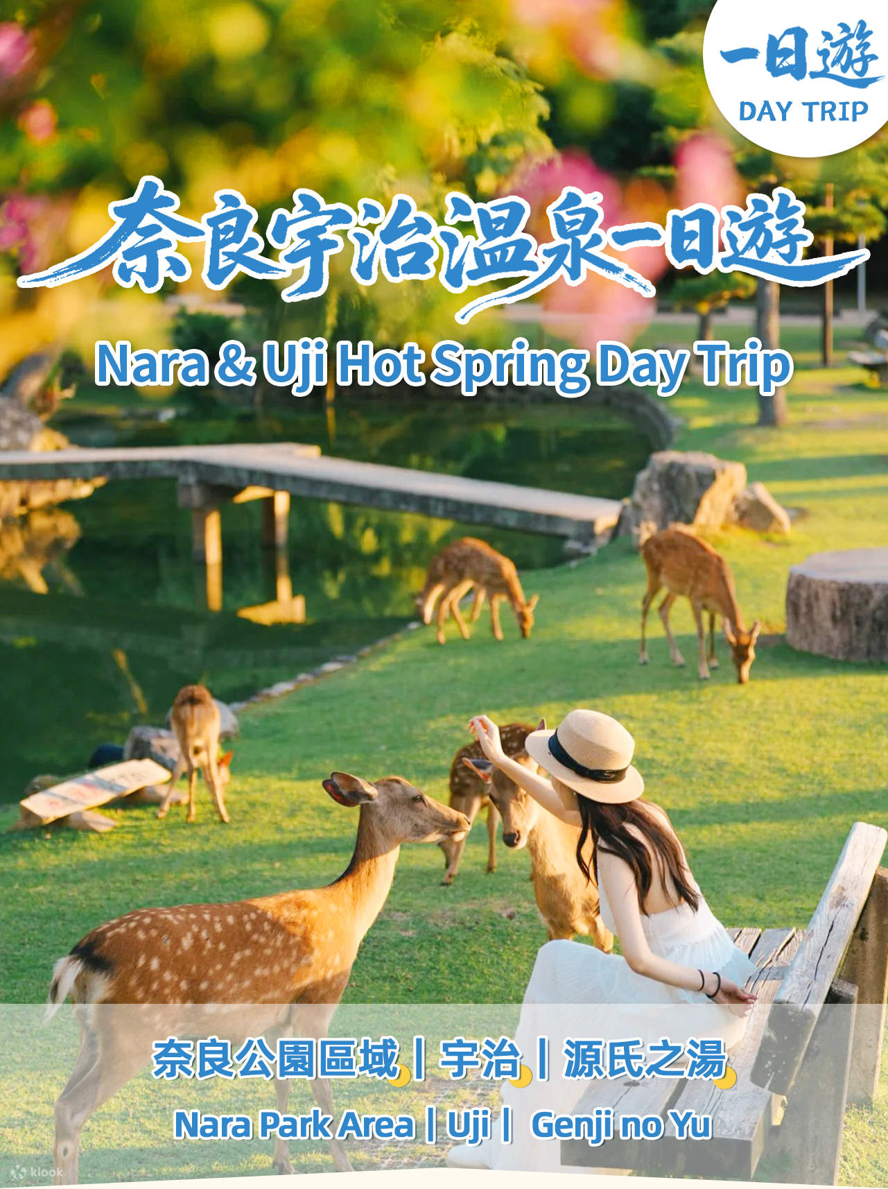 [Nara & Uji] Nara Park & Todai-ji Temple & Byodo-in Temple & Uji Matcha ...
