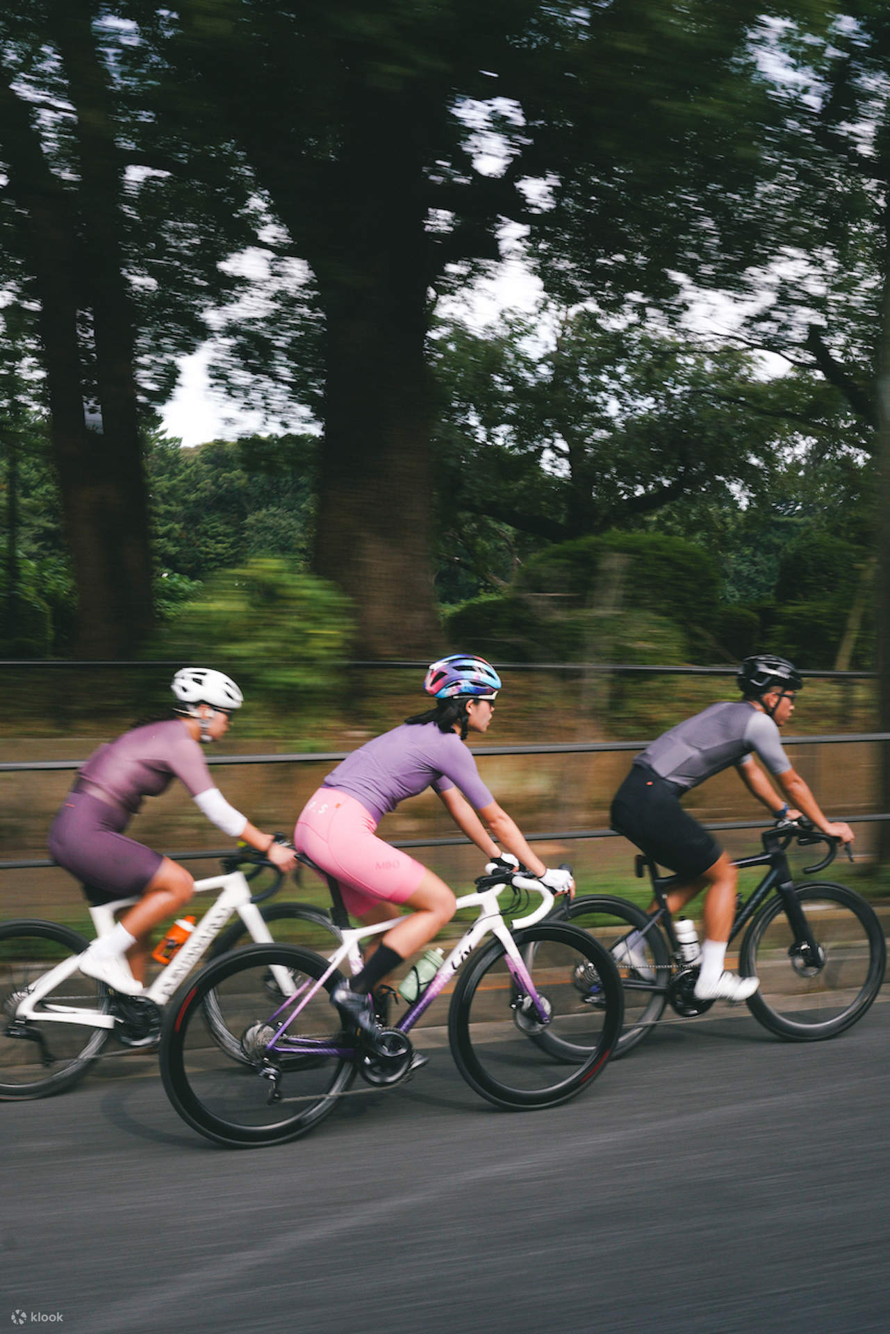 [Japanese Cherry Blossom Cycling Tour] 4-day cycling experience on the ...