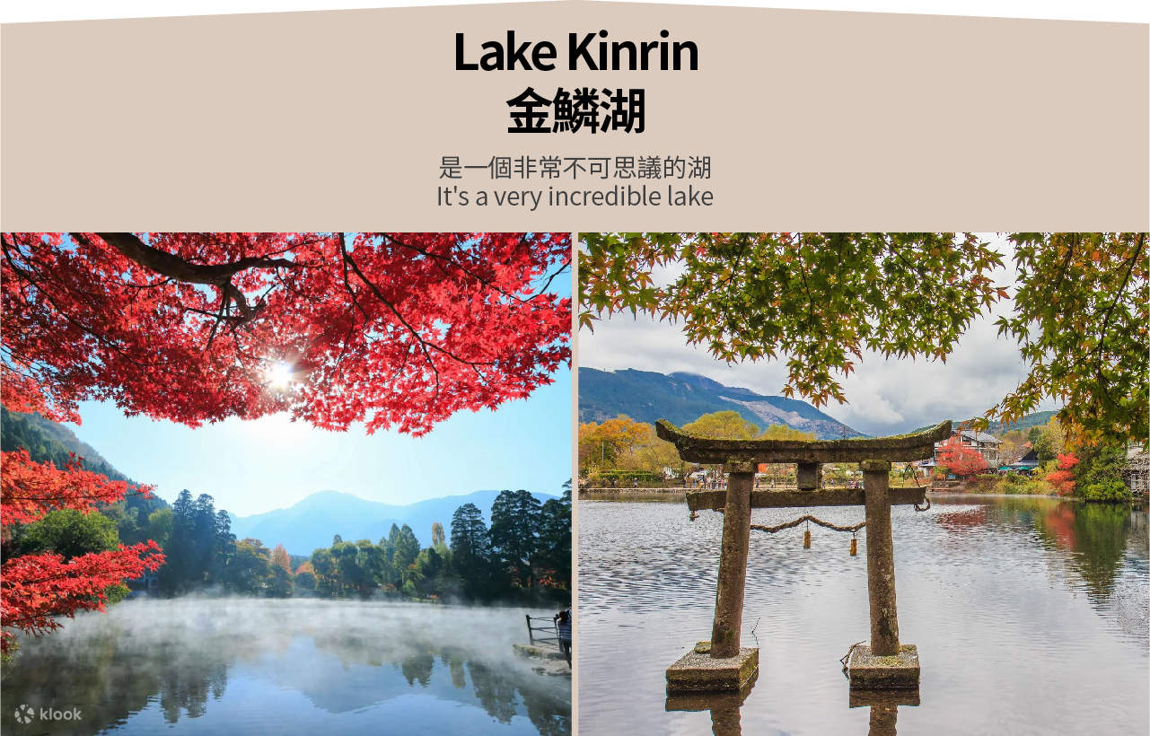 Kyushu Natural Zoo & Yufuin & Kinrin Lake & Sea Hell / Kitchen Hell Day Tour (Depart from ...