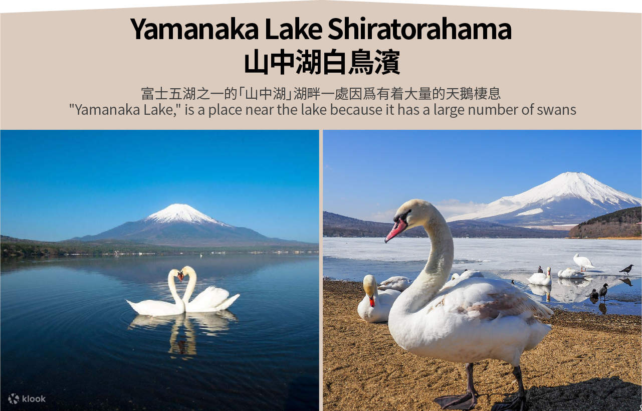Hakone Shrine & Lake Ashi Maritime Torii & Hakone Pirate Ship ...