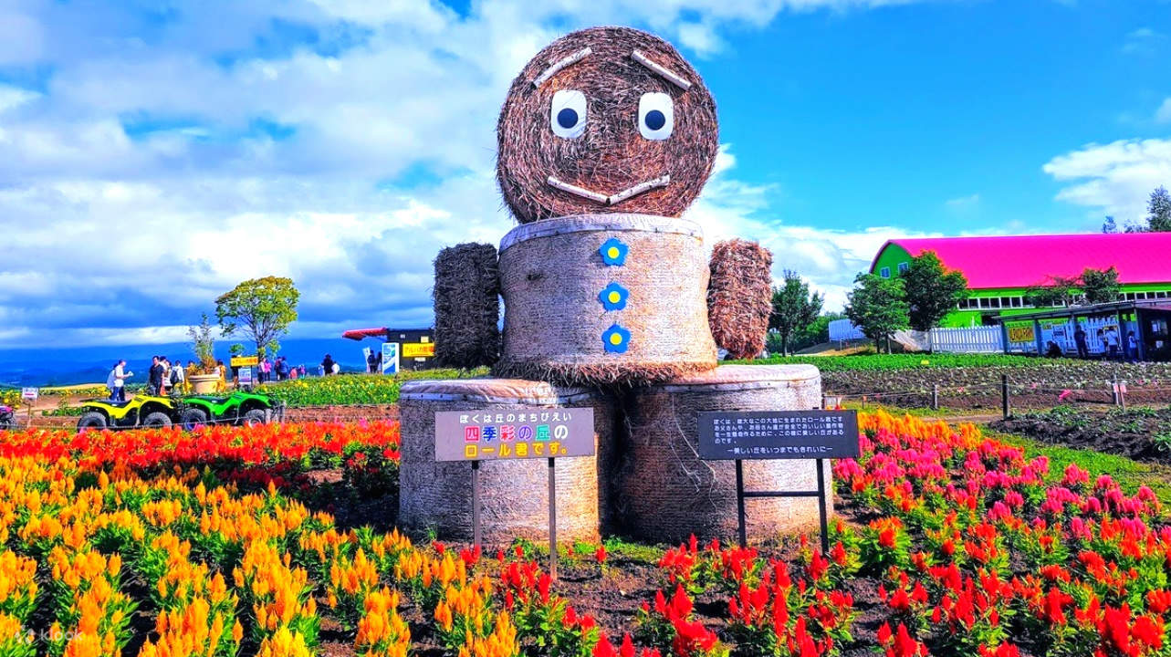 Hokkaido Biei Blue Pond × Furano Flower Sea Day Tour｜Buffet Lunch + All ...