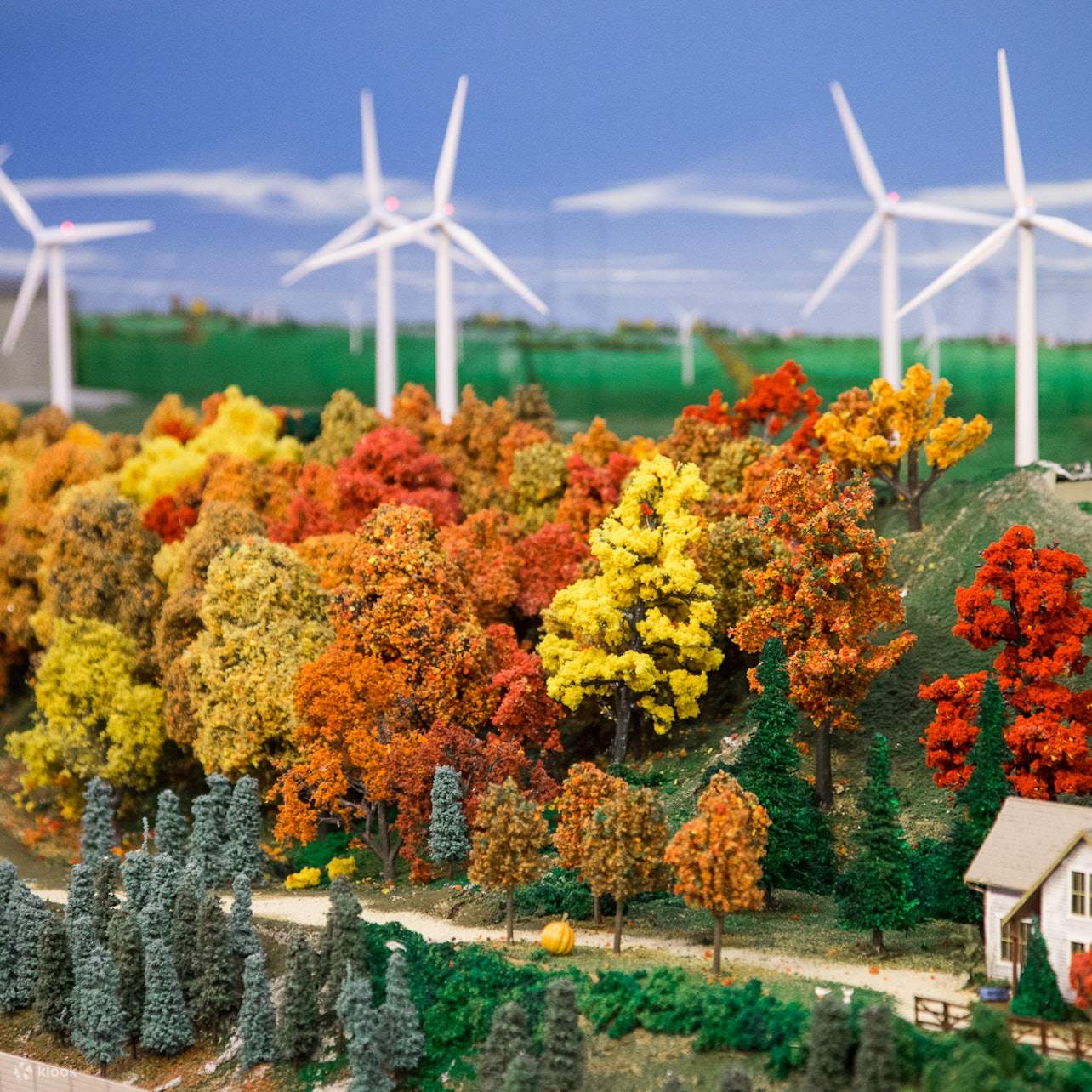 Little Canada Ticket - Klook India