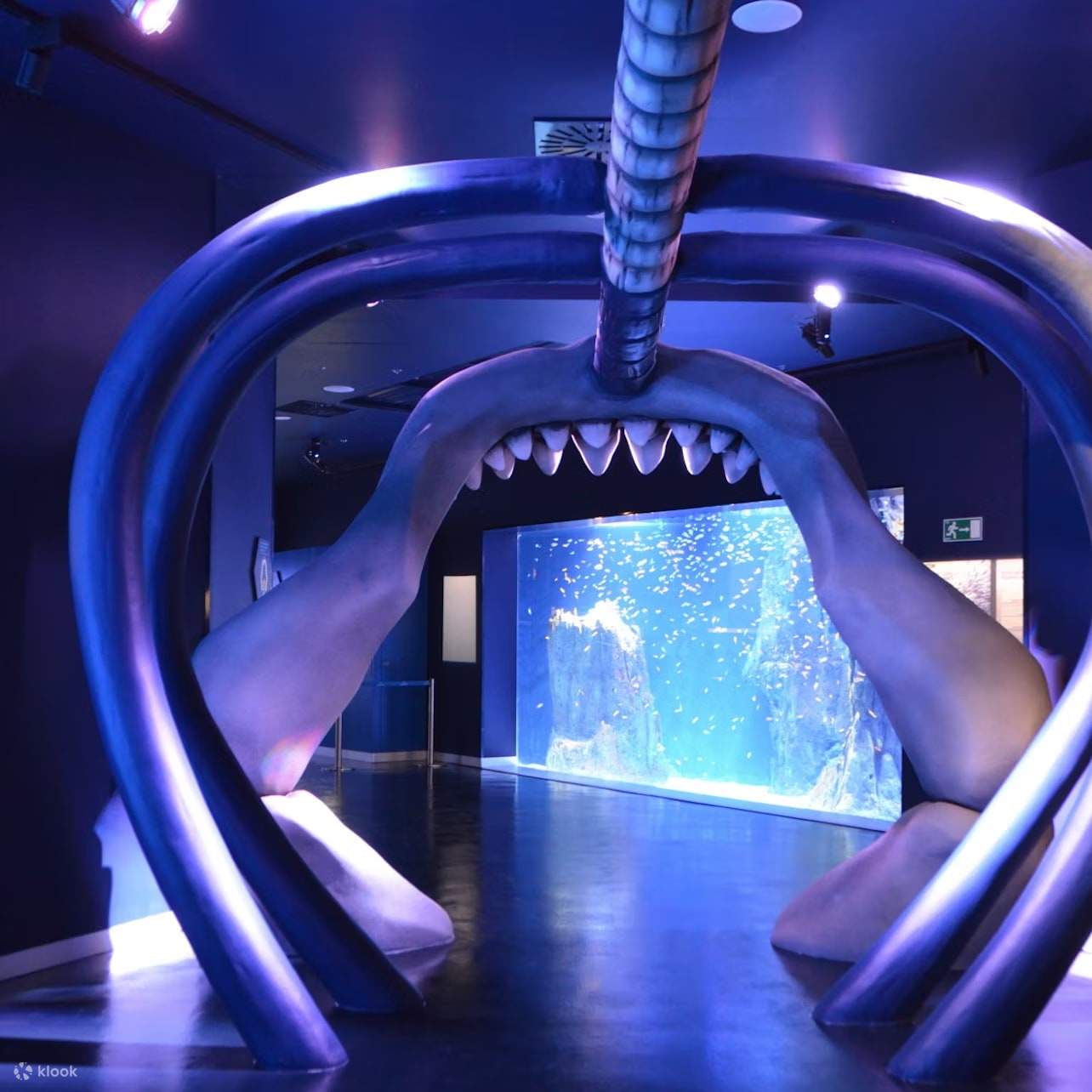 Entrada para el Atlantis Aquarium Madrid - Klook Estados Unidos
