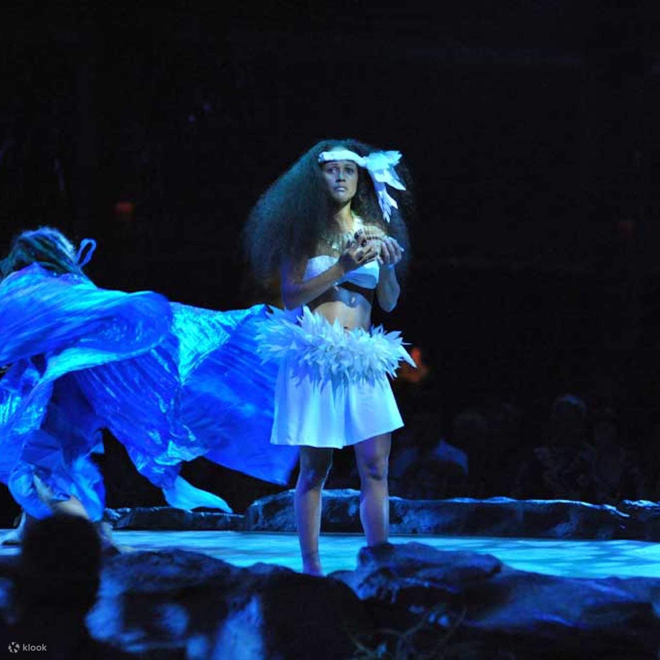 Luau Kalamaku Vip Plantation Owner's Evening in Kauai - Klook Hong Kong