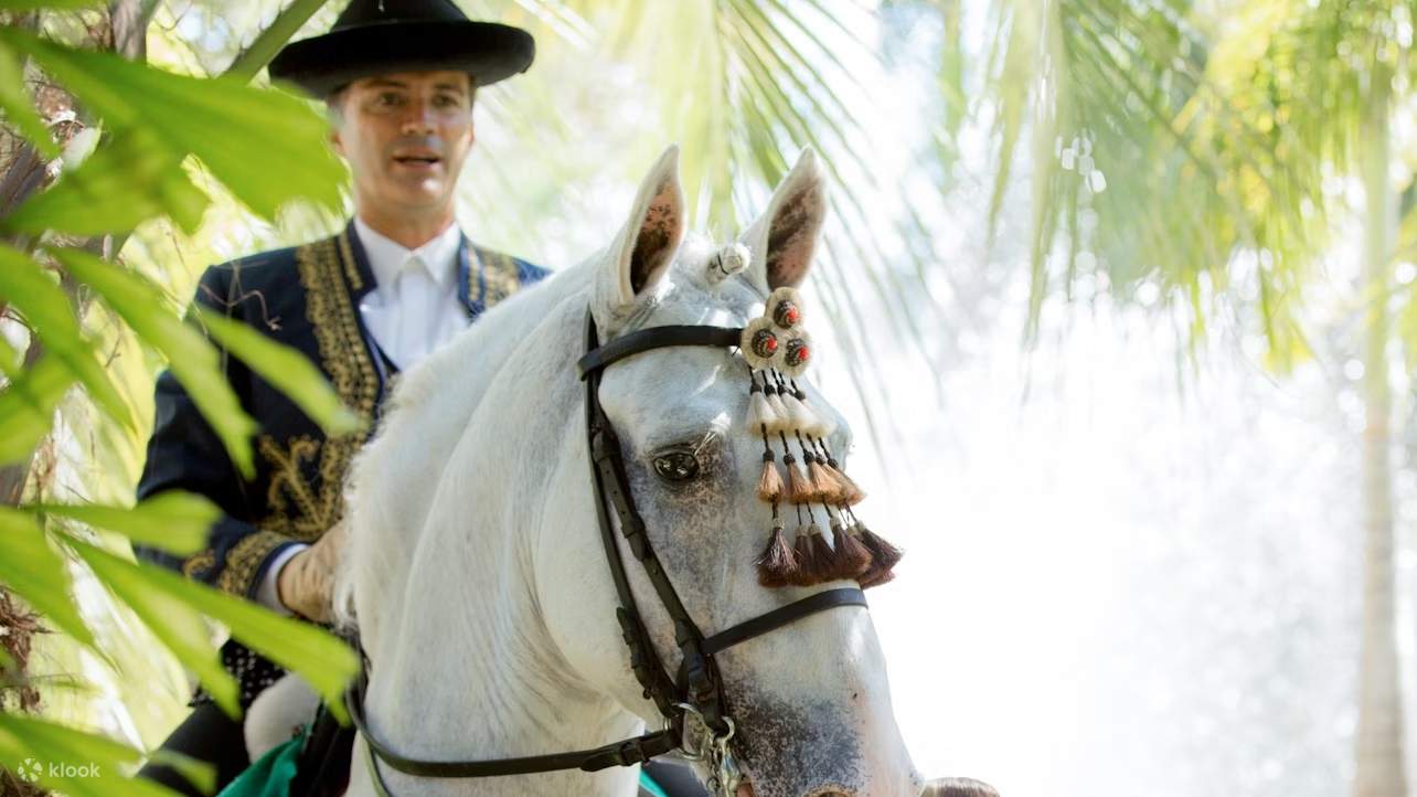 Andalusian horse and Flamenco show in Torremolinos - Klook Singapore